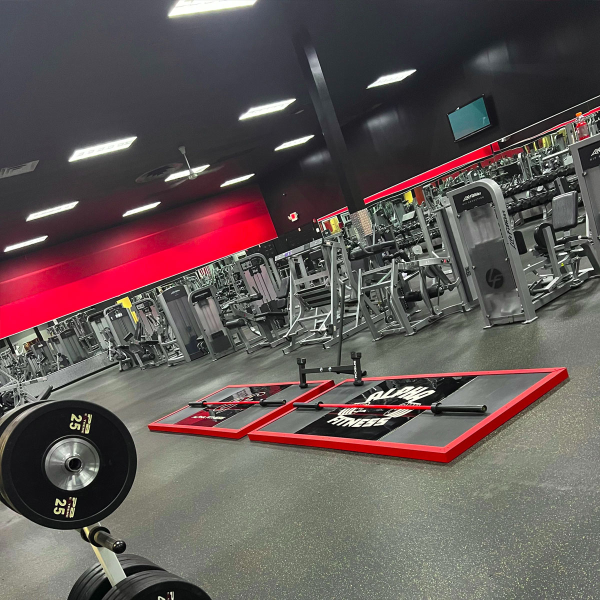 Alpha Fitness NJ - Gyms in Newton & Ledgwood, NJ