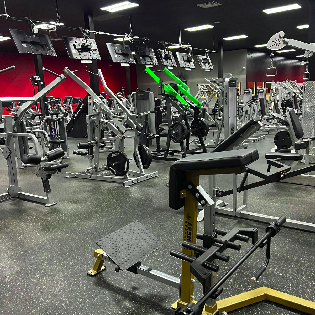 Alpha Fitness NJ - Morris County's Best Gym in Ledgewood NJ