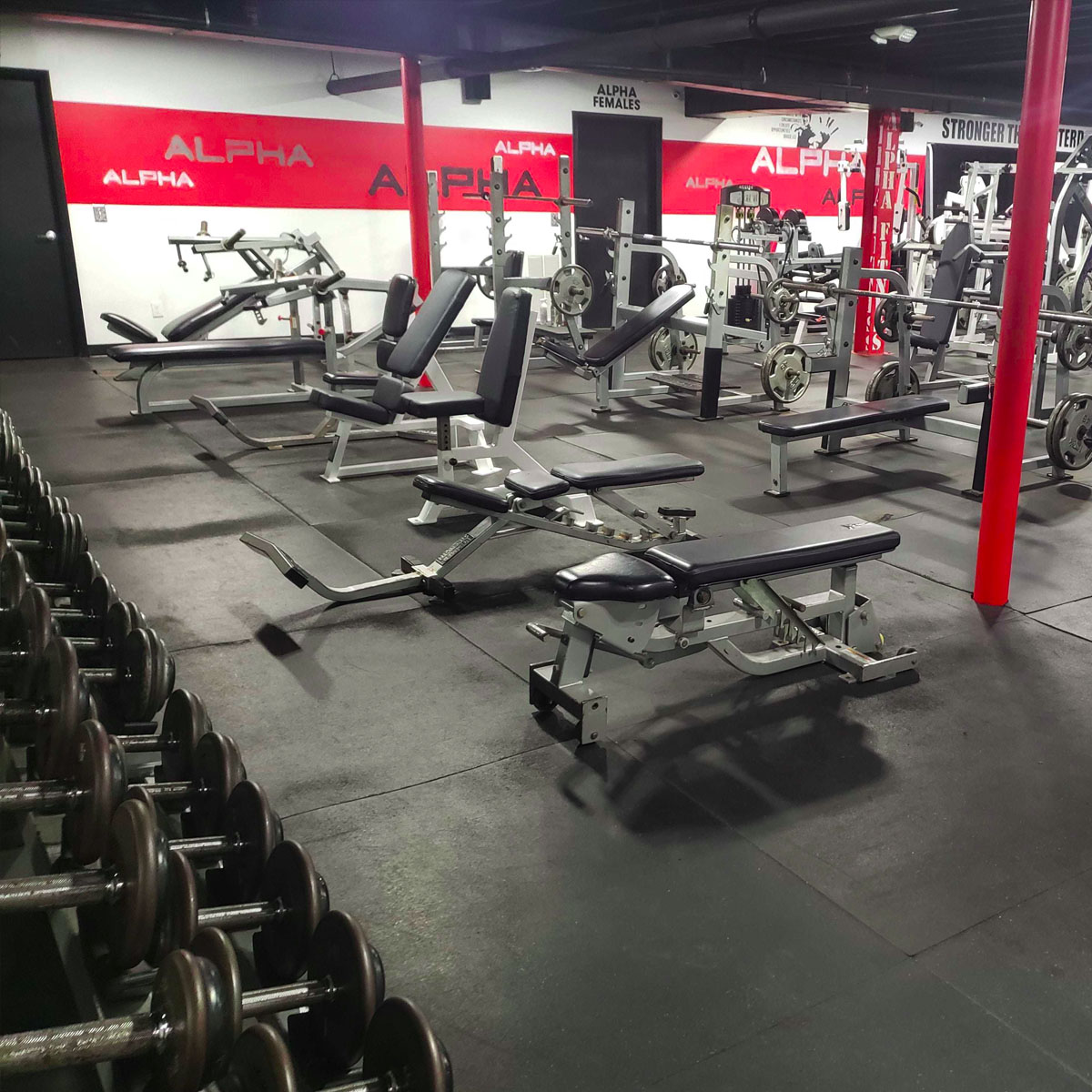 Alpha Fitness NJ - Sussex County's Best Gym in Newton NJ