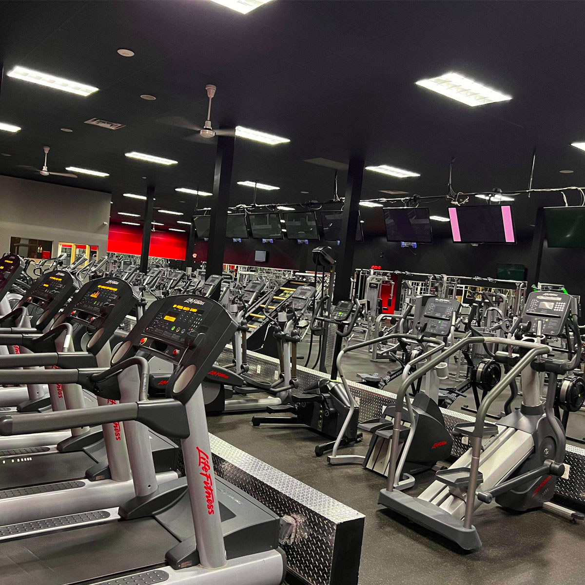 Alpha Fitness NJ - Morris County's Best Gym in Ledgewood NJ